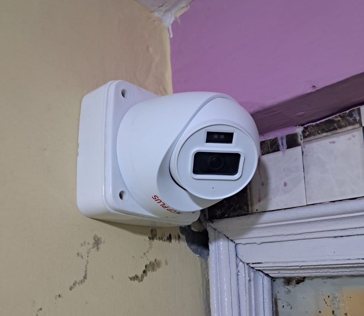 Services - Web plus Security System